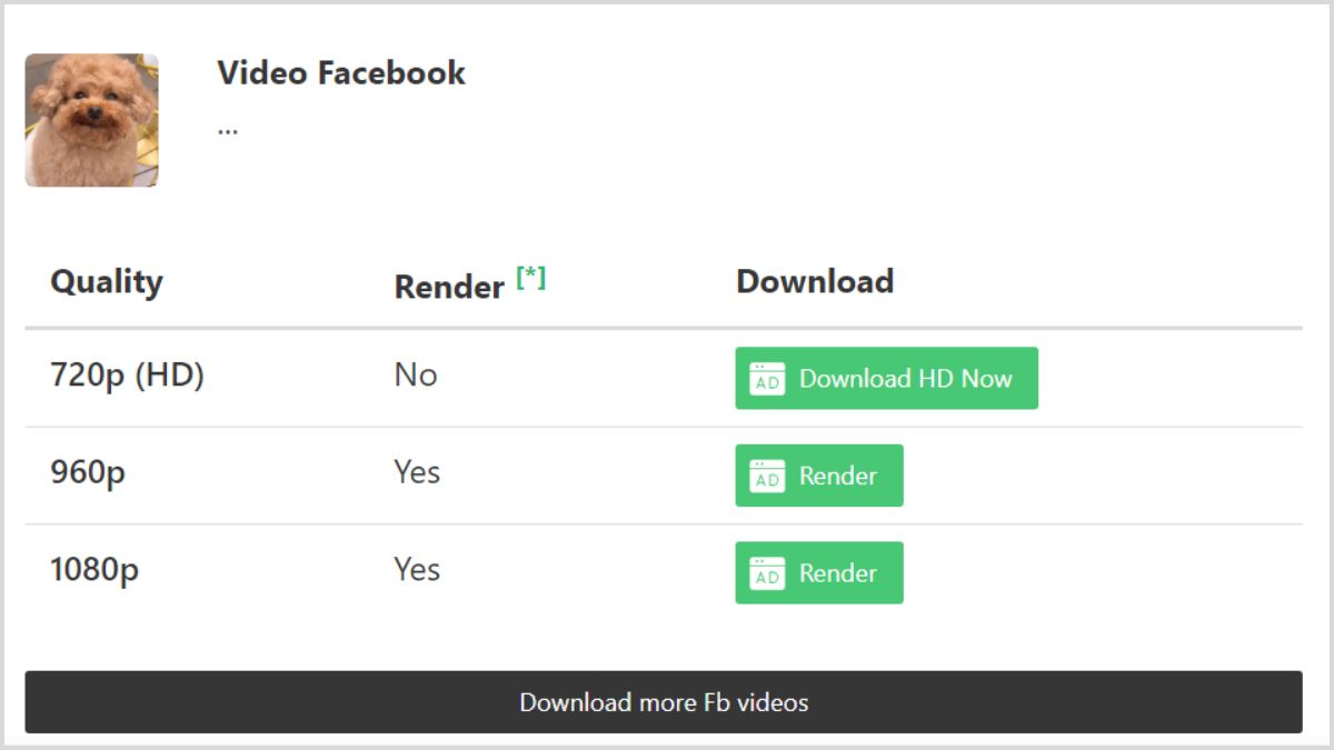 Cách lưu video trên Facebook bằng SnapSave.app nhanh chóng, miễn phí